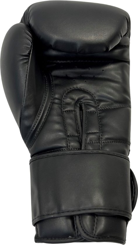 NRG Boxing F4 - Bokshandschoenen - Boxing Gloves - Boksen - Zwart - 14 ...