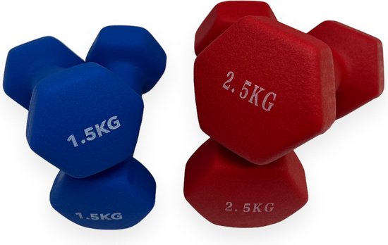 Padisport - Dumbell Neopreen Set 1,5 En 2,5 - Gewichten Set Halters ...