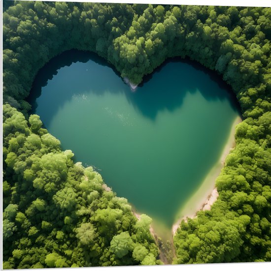 PVC Schuimplaat- Bos - Bomen - Water - Hartje - 80x80 cm Foto op PVC ...