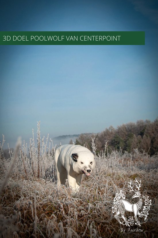 3D DOEL POOLWOLF VAN CENTERPOINT | bol