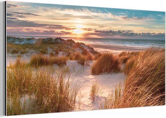 Wanddecoratie Metaal - Aluminium Schilderij Industrieel - Duin - Planten -... | bol