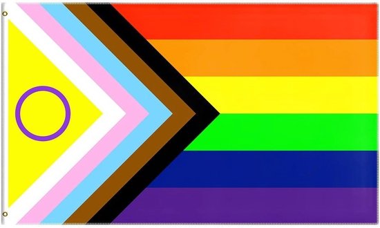 Regenboog Progress Pride vlag 90x150 cm - Polyester - 2 ophangringen - rainbow flag | bol
