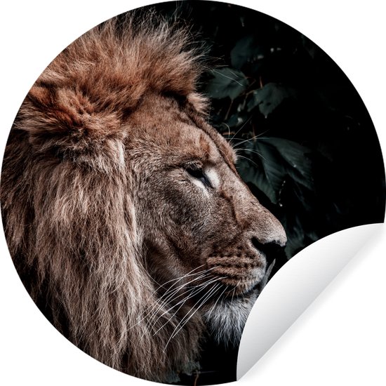 WallCircle - Muurstickers - Behangcirkel - Leeuw - Bladeren - Dieren - 80x80 cm -... | bol