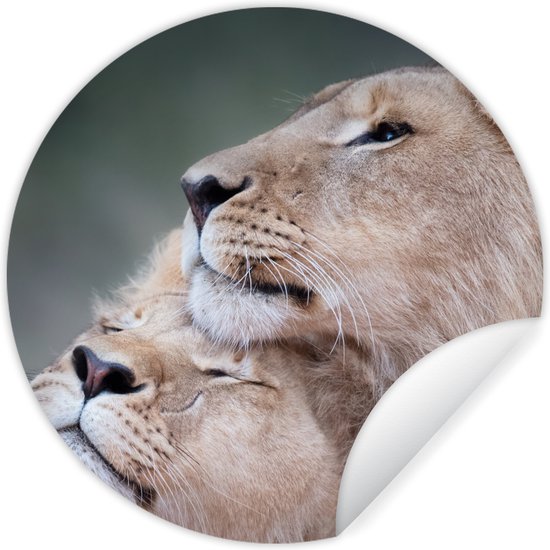 WallCircle - Muurstickers - Behangcirkel - Leeuw - Wilde dieren - Big Five - 50x50 cm... | bol