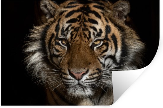Muurstickers - Sticker Folie - Tijger - Wilde dieren - Portret - 120x80 cm - Plakfolie... | bol