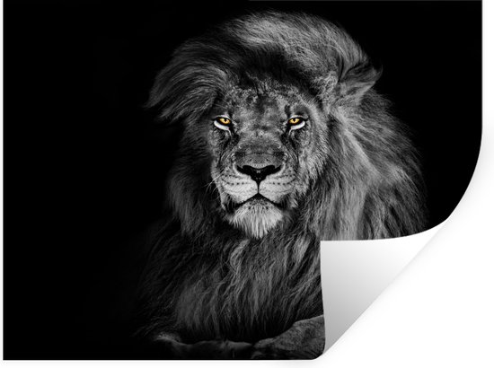 Muurstickers - Sticker Folie - Leeuw - Ogen - Oranje - Zwart wit - Dieren - Portret -... | bol