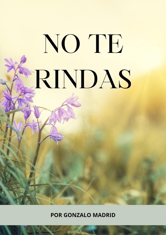 No te rindas (ebook), Gonzalo Madrid | 9798224772322 | Boeken | bol
