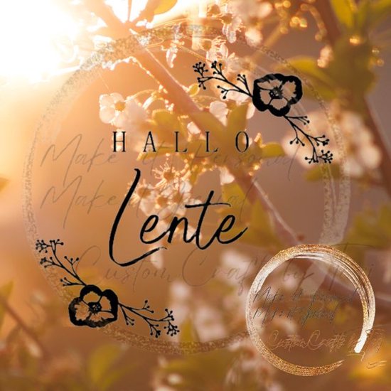 Herbruikbare Statische Raamstickers - Hallo Lente - Zwart | bol