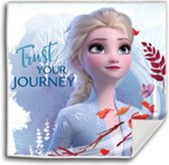 Disney Frozen Magische Handdoek - Magic Towel - gezichtshanddoek ...