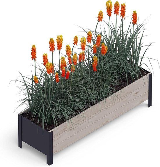Trog Voor Terras En Balkon COS 55cm Ebbenhouten Trogplanter - Zwarte ...