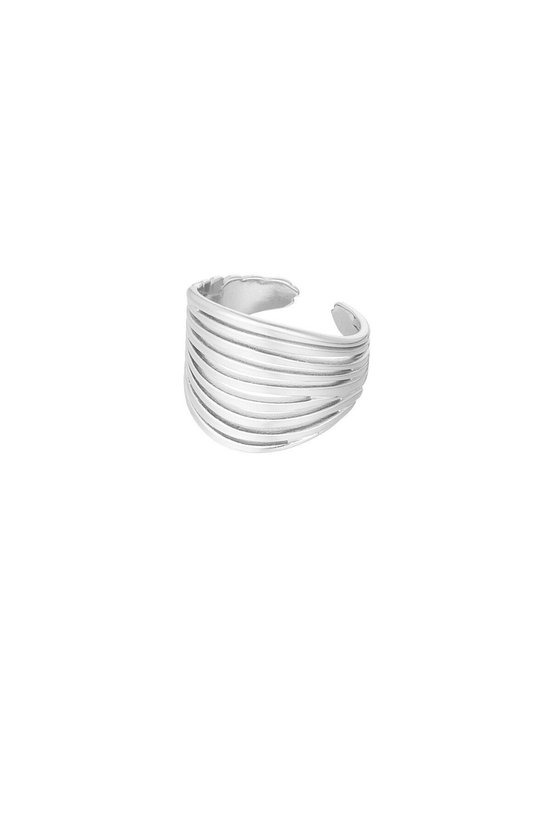 Ring silver plated - Ring zilver - universele maat - meerdere ringen ...