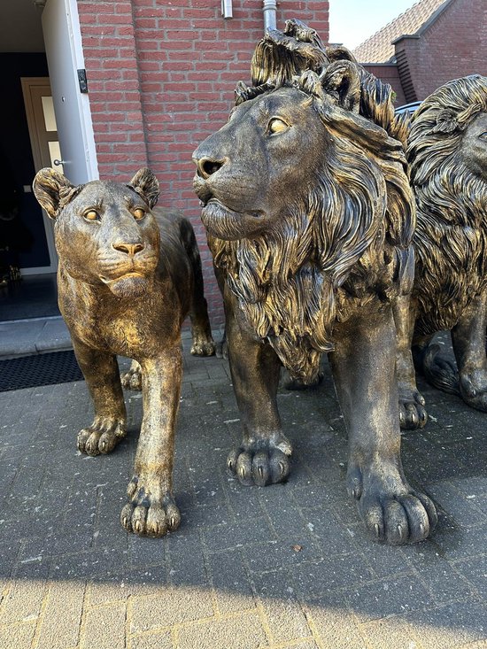 Goodyz - Jungle dieren - Set Leeuwen - Leeuw en Leeuwin - Staande Leeuwen- XXXXXL -... | bol