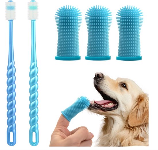 Honden Tandenborstel - Katten tandenborstel - Hondentandenborstels ...