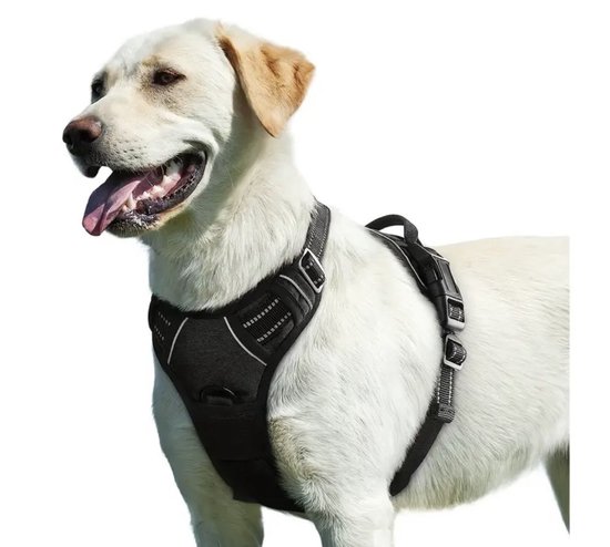 Omega Pets Hondentuigje - Anti-Trek Tuig - Hondenharnas - Y Tuig Hond - Reflecterend -... | bol
