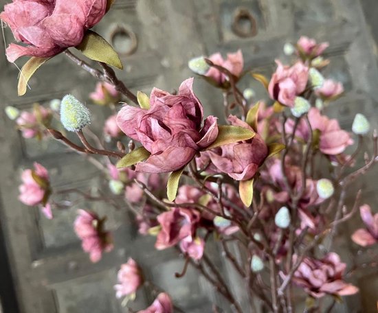 Azalea - Paars Rood - Tak - Siertak - kunsttak - Kantoor plant ...