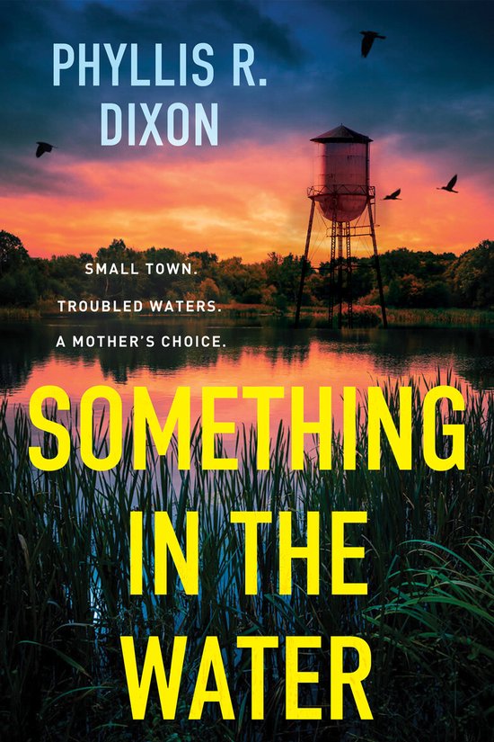 Something in the Water, Phyllis R. Dixon | 9781496754196 | Boeken | bol