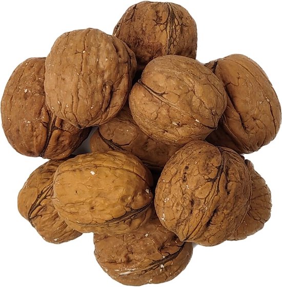 Pit&Pit - Walnoten in de dop 1.5kg - Volledig rauw in de dop - Grote ...