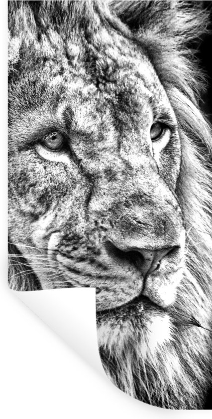 Muurstickers - Sticker Folie - Portret - Leeuw - Zwart wit - 80x160 cm - Plakfolie -... | bol