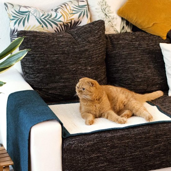 griffoir pour chats - Tapis griffoir pour canapé - Tapis griffoir pour ...