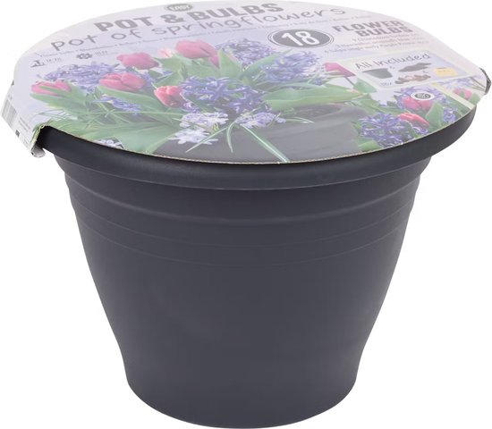Cadeau of voor je zelf - bloempot inclusief 18 bloembollen en aarde ...