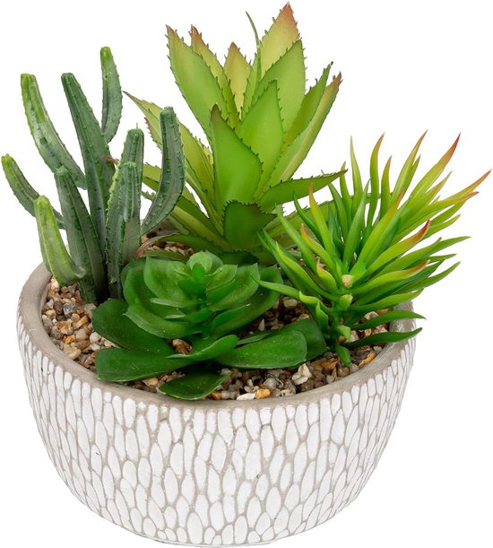 Kunstplant, vetplanten, kunstmatige kamerplant, vetplant, decoratieve ...