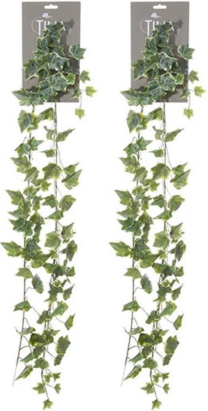 Louis Maes kunstplant blaadjes slinger Klimop/hedera - 2x - groen/wit ...