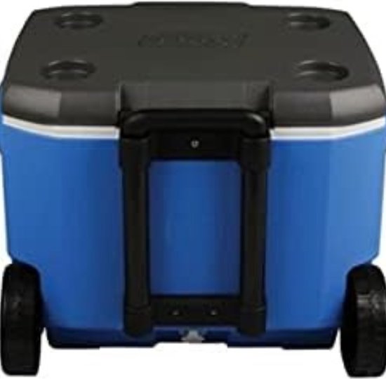 Gratyfied - Koelkast - Frigobox Elektrisch - Foelkast Auto | bol