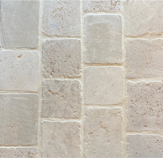 Bourgondische dallen gemêleerd getrommeld 20 cm breed | bol.com