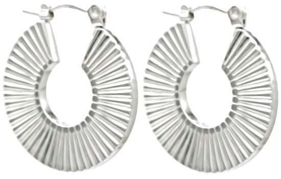 Oorbellen met Groeven - Oorringen - RVS - 2,5 cm - Zilverkleurig | bol