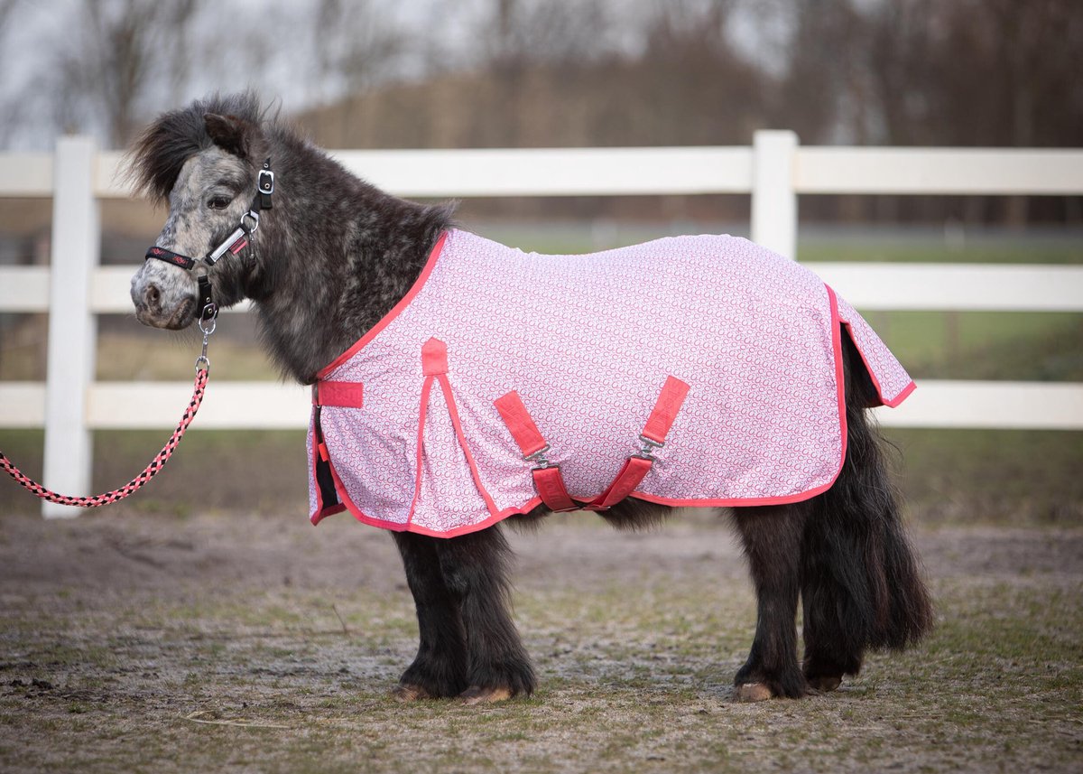 Harry's Horse Vliegendeken STOUT! Coral White - 105 - Vliegendeken | bol