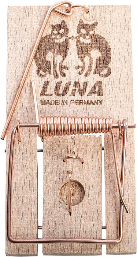 Lexium Muizenval - Muizenvallen - Muizenvallen Voor Binnen - 10 Stuks | bol