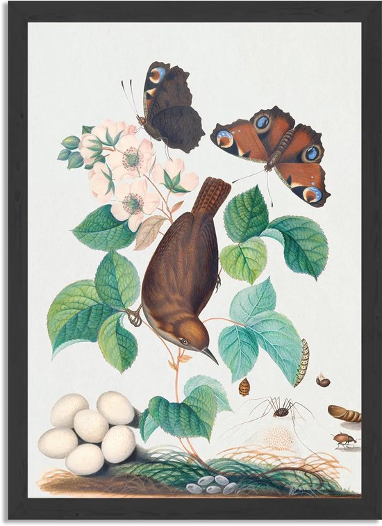 Poster Prent Natuur Vogel en Bloemen 03 Rechthoek Verticaal Met Lijst L ...