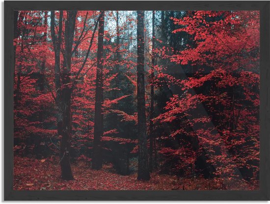 Poster Het rode bos Rechthoek Horizontaal Met Lijst L (50 X 40 CM ...