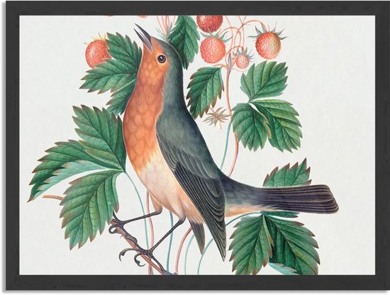 Poster Prent Natuur Vogel en Bloemen 11 Rechthoek Horizontaal Met Lijst ...