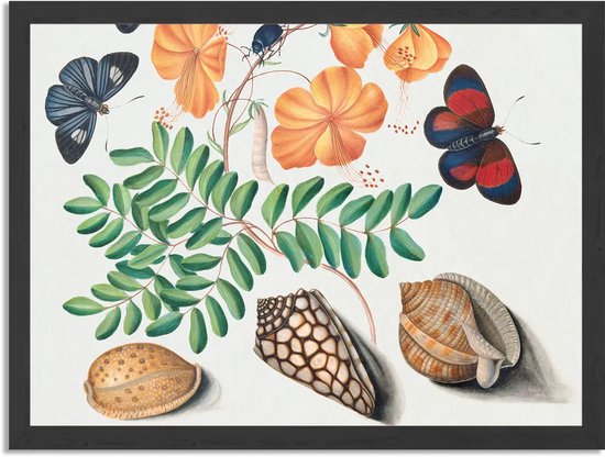 Poster Prent Natuur Vogel en Bloemen 13 Rechthoek Horizontaal Met Lijst ...