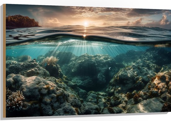 Hout - Zee - Koraal - Vissen - Water - Zon - 120x80 cm - 9 mm dik ...