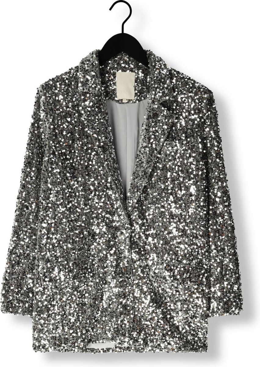 Notre-V Nv-christine Glitter Velvet Blazer Blazers Dames - Zilver - Maat M | bol