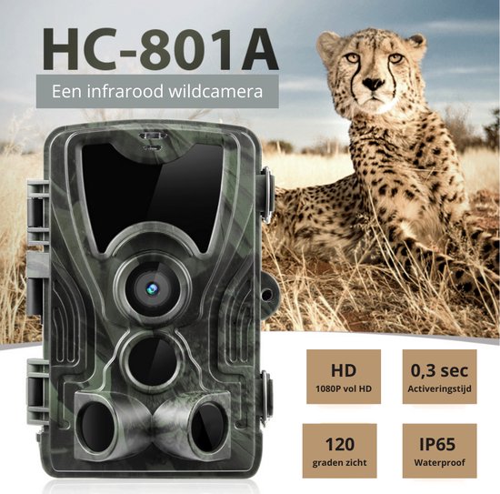Rique wildcamera- Wildcamera met nachtzicht - Waterdicht - Wildcamera voor buiten -... | bol