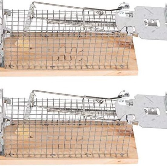 Bolture Muizenval Diervriendelijke - Muizenvallen voor Binnen | bol