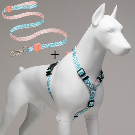 Lindo Dogs - Wandelset van 2 - Hondenriem - Hondenharnas / Hondentuigje ...