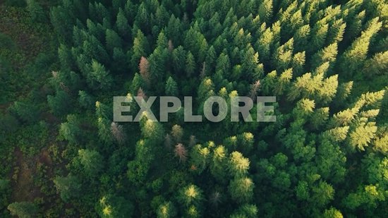 RHYTHMFLAME Outdoor Survival Kit - Tactische Rugzak - Survival Armband ...