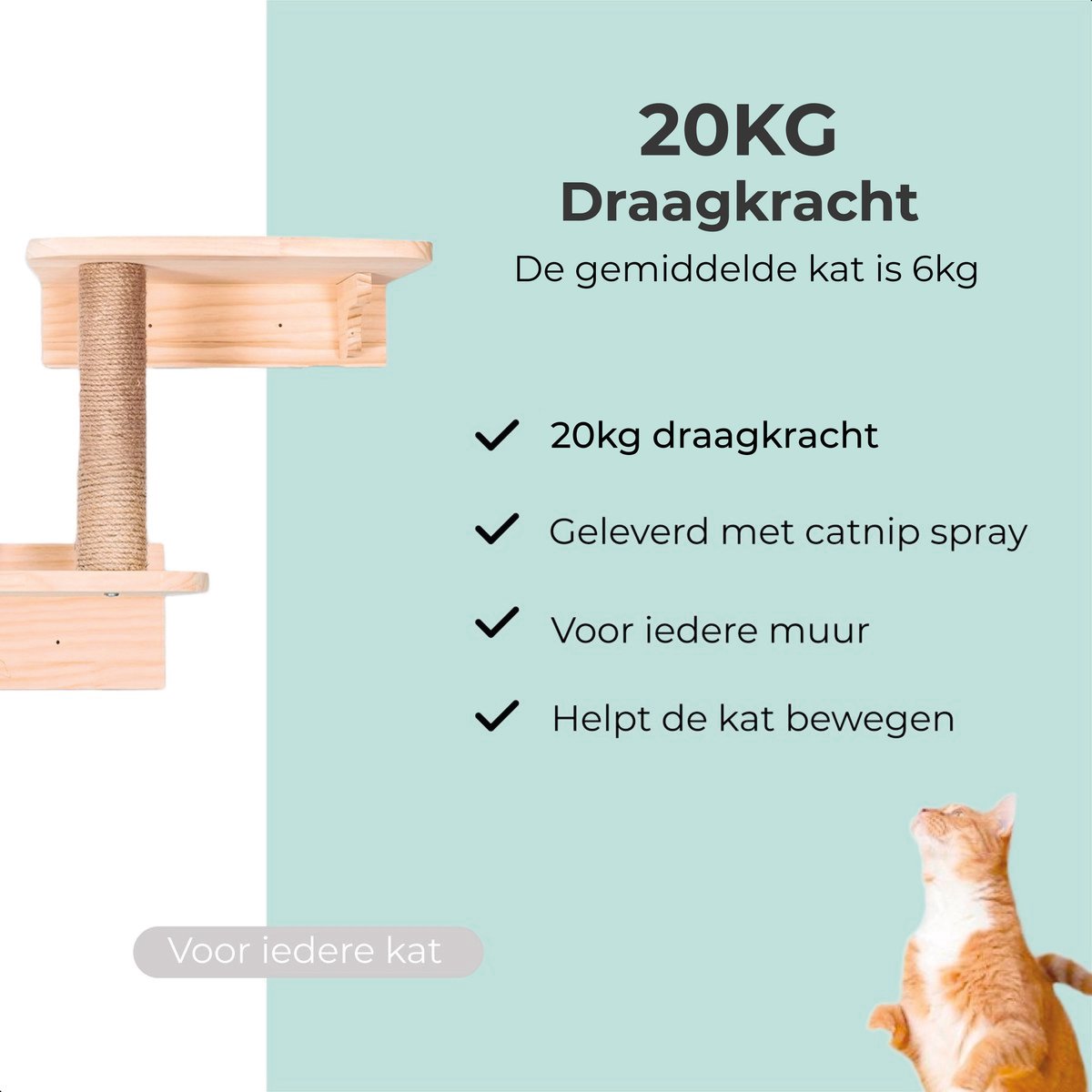 LBB - Katten klimmuur - Ladder en krabpaal - Katten klim wand ...