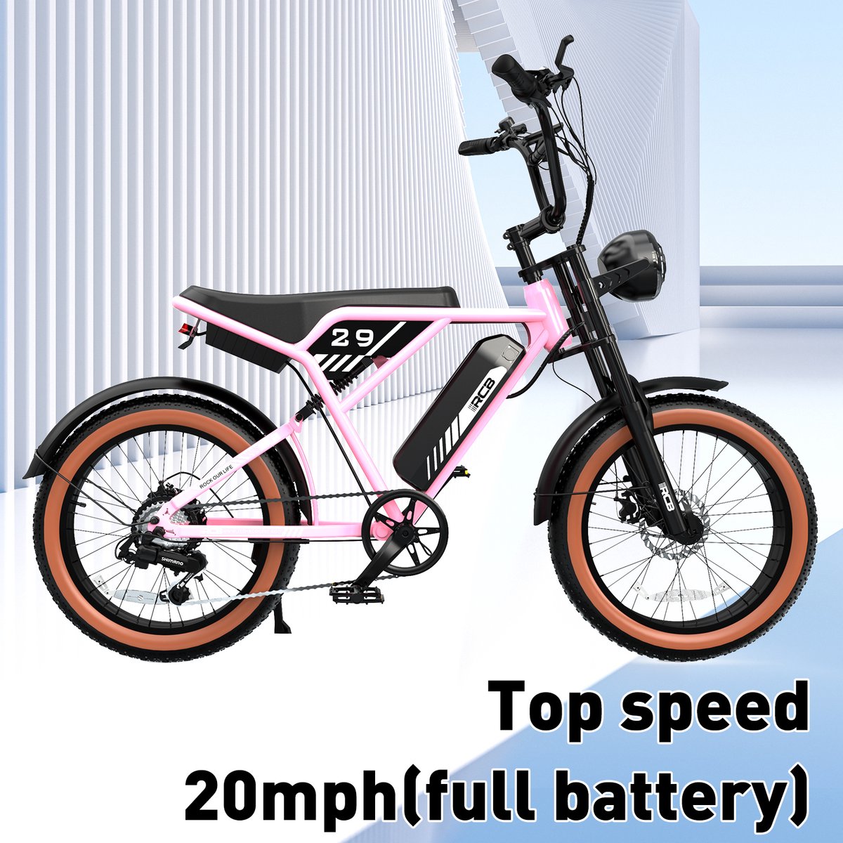 RCB Elektrische Fatbike | Electric Off-Road Bike | E-bike | 250W Motor ...