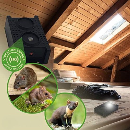 Bolture Muizenval Diervriendelijke - Muizenvallen voor Binnen | bol