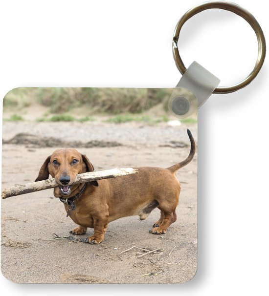 Sleutelhanger - Uitdeelcadeautjes - Een prachtige Teckel met een stok in de mond - Plastic | bol