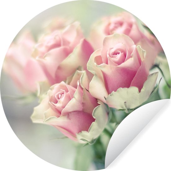 WallCircle - Muurstickers - Behangcirkel - Roze rozen schijnen in het felle zonlicht -... | bol