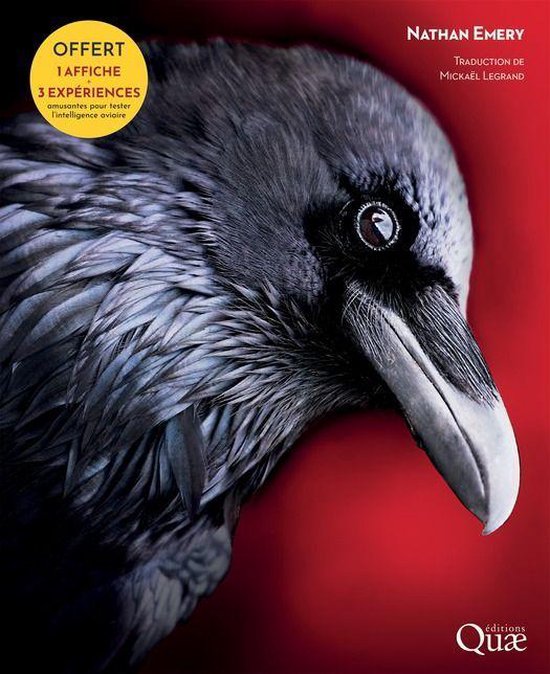 Beaux livres - L'étonnante intelligence des oiseaux (ebook), Nathan ...