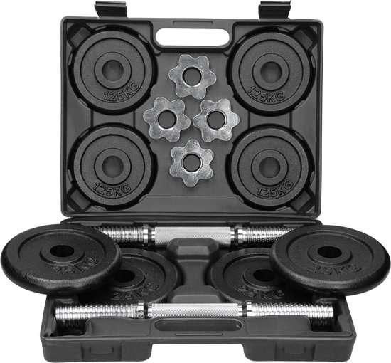 Set van 2 halters, 2x10 kg, gemaakt van gietijzer en verchroomd staal | bol