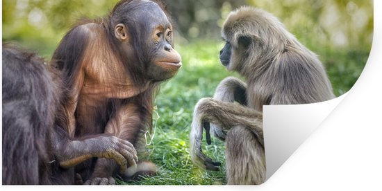 Muurstickers - Sticker Folie - Apen - Dieren - Familie - 40x20 cm ...