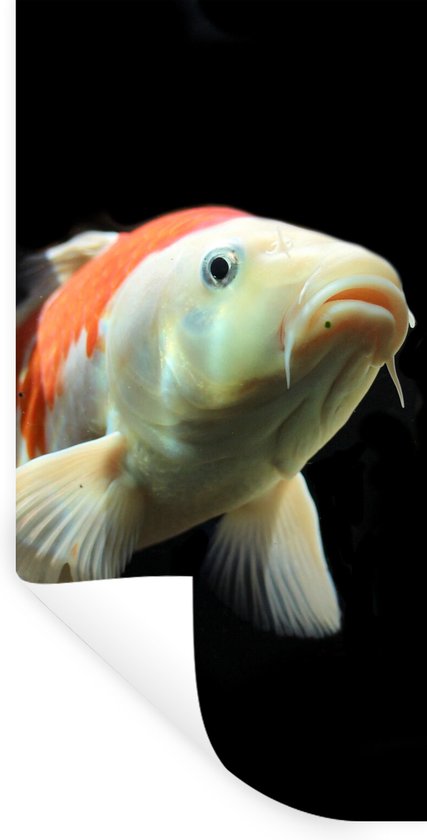 Muurstickers - Sticker Folie - Een koi karper met oranje details tegen een zwarte... | bol